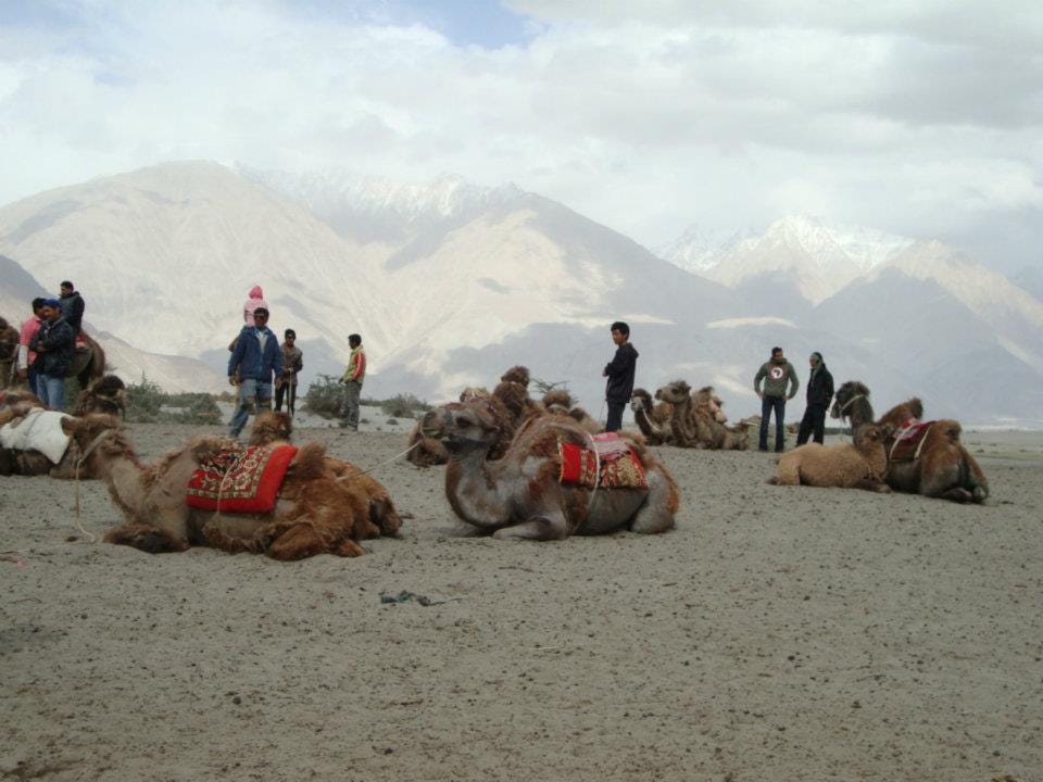 Ladakh — A desert and a lake in the mountains | by Zertab Quaderi | Medium