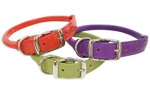 Different Types of Dog Collars Styles | by RUBY PEREZ | Medium
