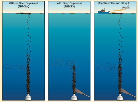 5 Million Barrels: Revisiting the Deepwater Horizon Spill | by Darius ...