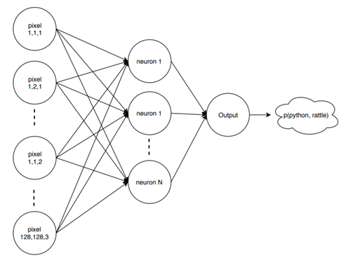 DeepSnakes — Part II. · Can an AI distinguish venomous from… | by ...