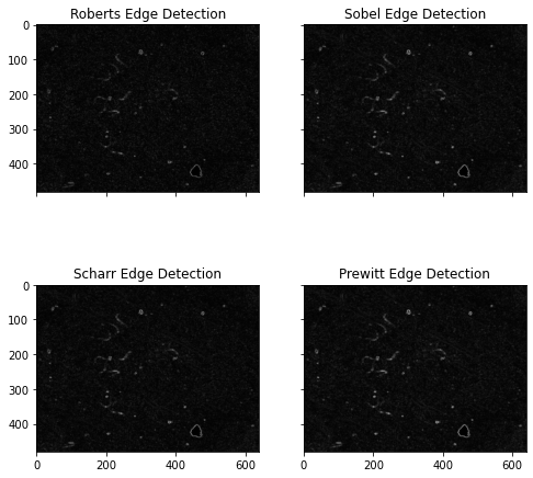 Image Recognition in Agriculture. Taking the first steps towards target ...