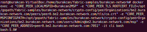 Create a Custom Network and Deploy your own Chaincode with Hyperledger Fabric v2.1 | by Burakcan ...