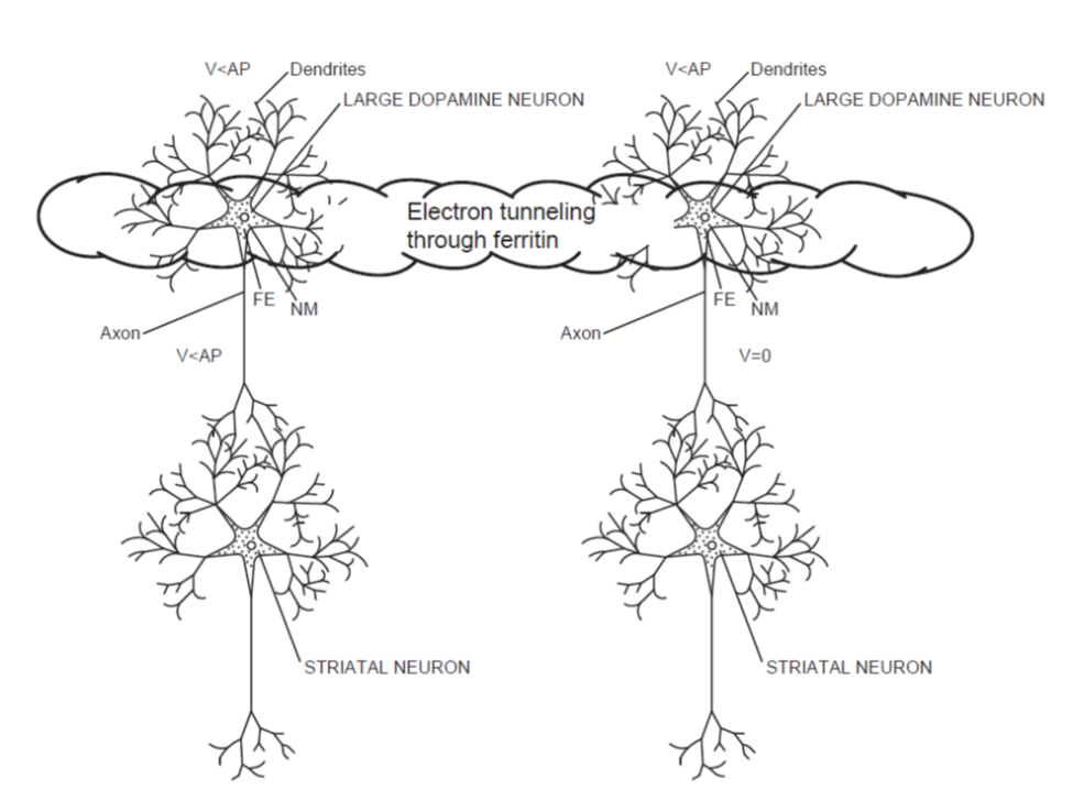 Is action selection the function of consciousness? | by Chris Rourk ...