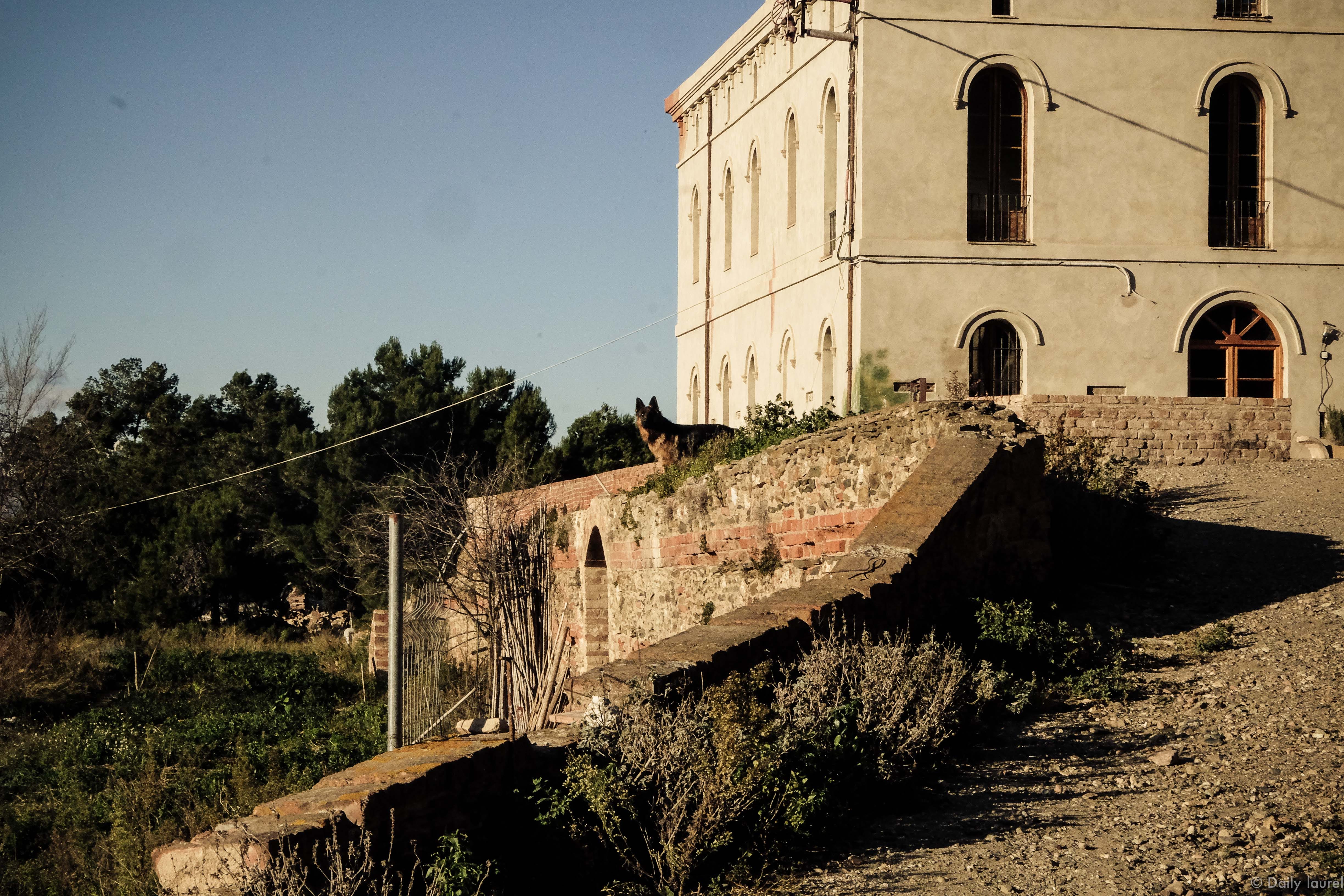 Valldaura Lab, the futur of building anything is grown or designed ...