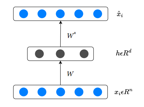 Autoencoders(Part 1): What are Autoencoders? | by Data OilSt. | Jun ...