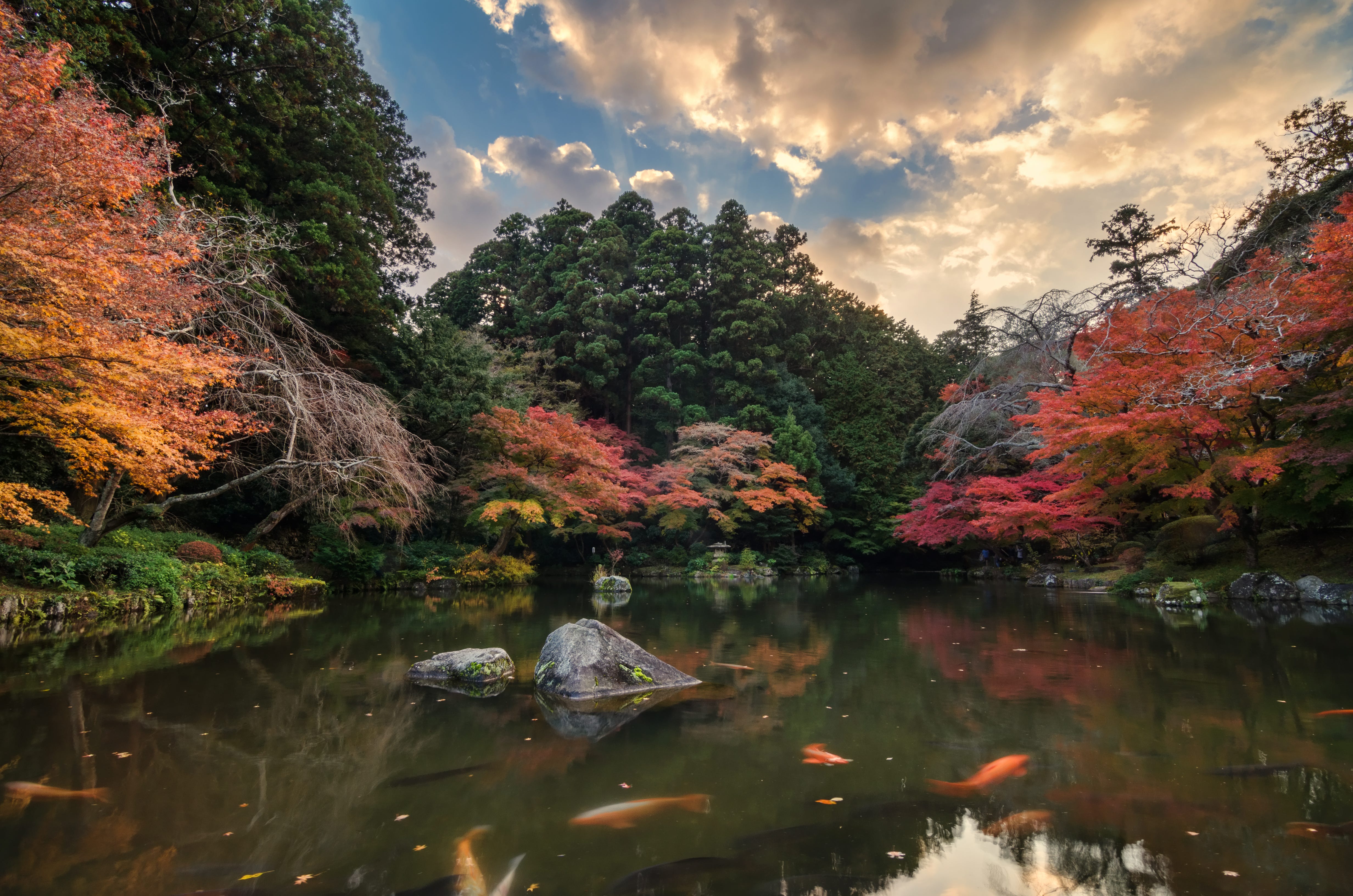 5 Tips For Capturing Japan’s Fall Foliage - SmugMug