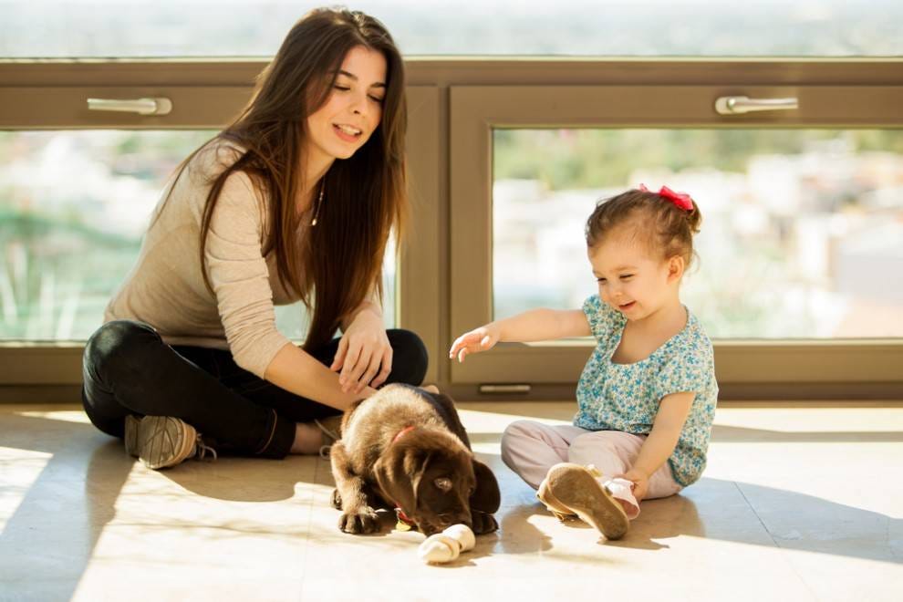 Tips to make your Happy family…. Everybody wish to have an upbeat ...