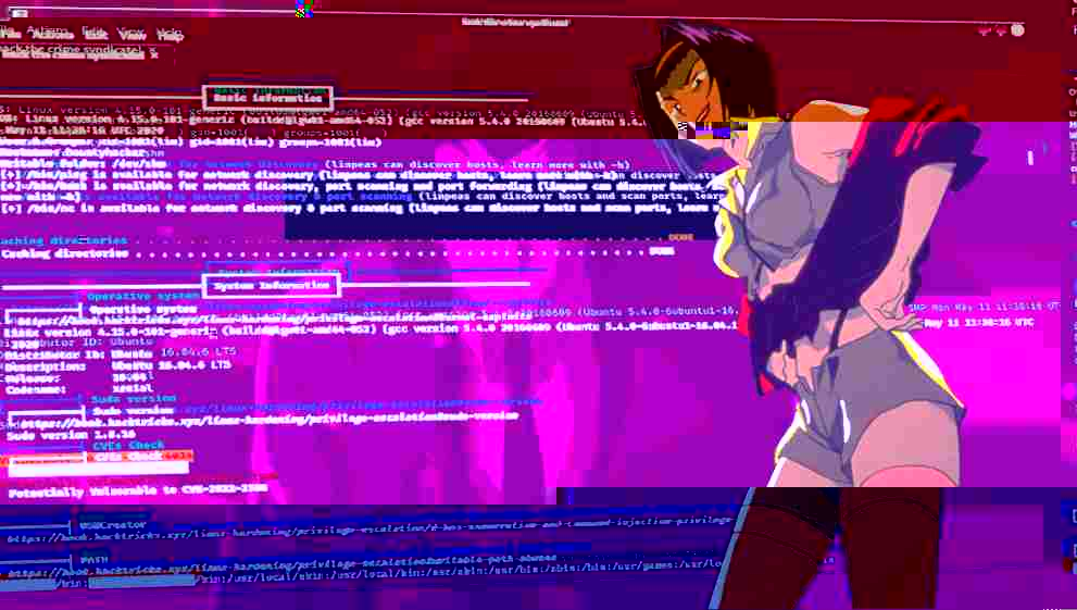 TryHackMe writeup: Bounty Hacker. In this room, I join forces with Faye… | by Aleksey | InfoSec ...