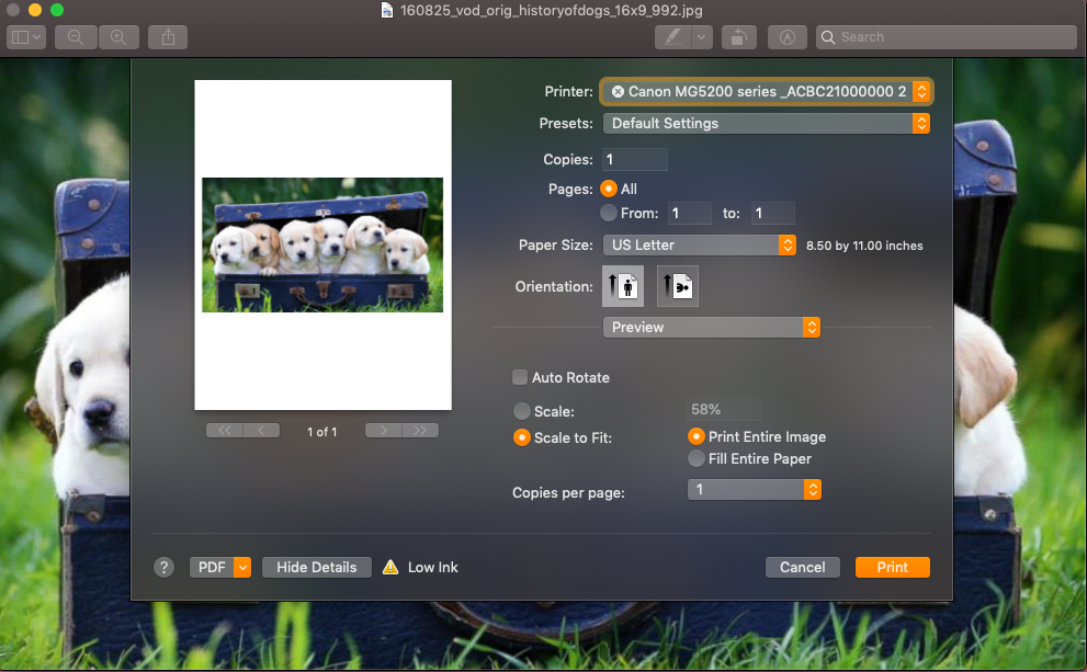 How To Add a Printer & Print With a Mac | by Spring Nguyen | Medium