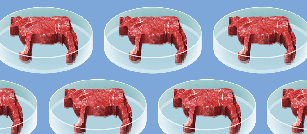 The Future of Meat. A Better Meat for a Better World | by Jack Bilby ...