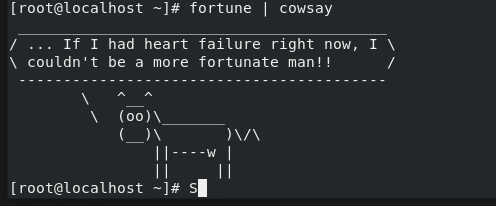 FUN COMMANDS IN LINUX. Hello folks , here we are with another… | by ...