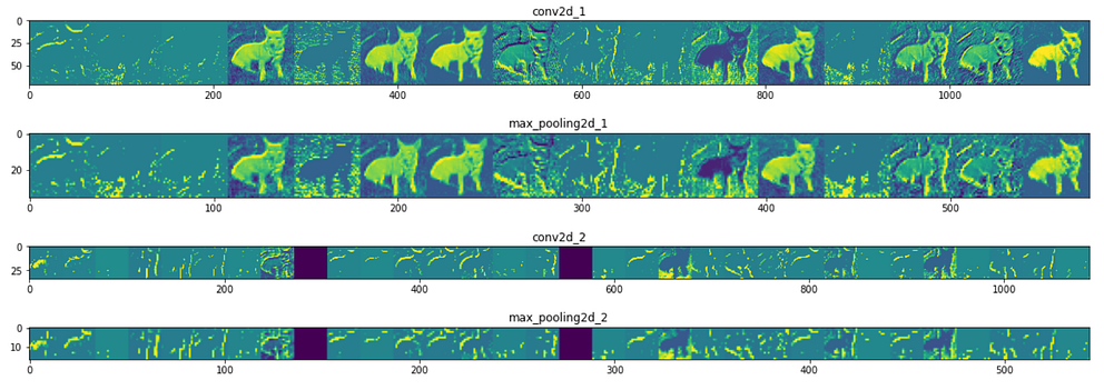 Tutorial — How To Visualize Feature Maps Directly From Cnn Layers