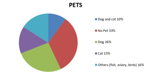Analysing Choice of Pets Based on a Pie Chart | Medium