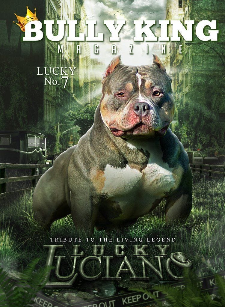 BECOME AN OFFICIAL BULLY KING MAGAZINE MASCOT | by BULLY KING Magazine ...