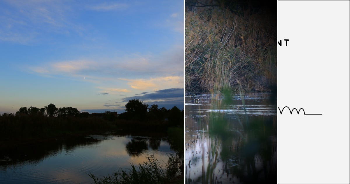 List: Pretty | Curated by Javi Ko | Medium