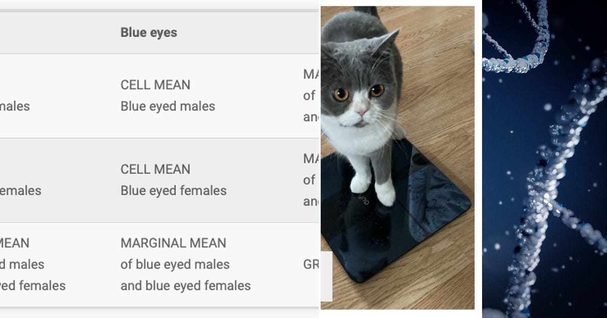 13 stories about stats_basic curated by Michael Latter - Medium