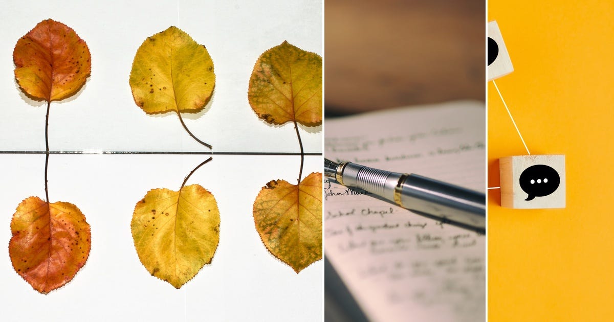 30 stories about NPL curated by Ariel Limes - Medium