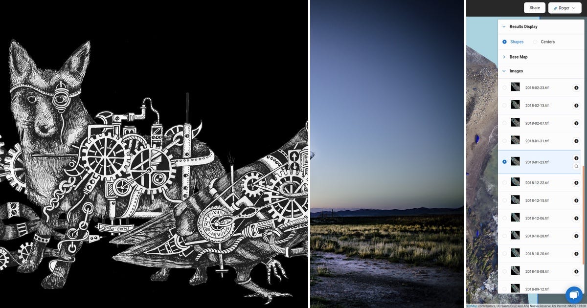 7 stories about Animal Computing curated by Jenny Hilgenberg - Medium