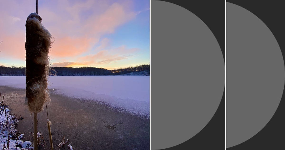 List: Comments that made me SMILE | Curated by Lane Kathman | Medium