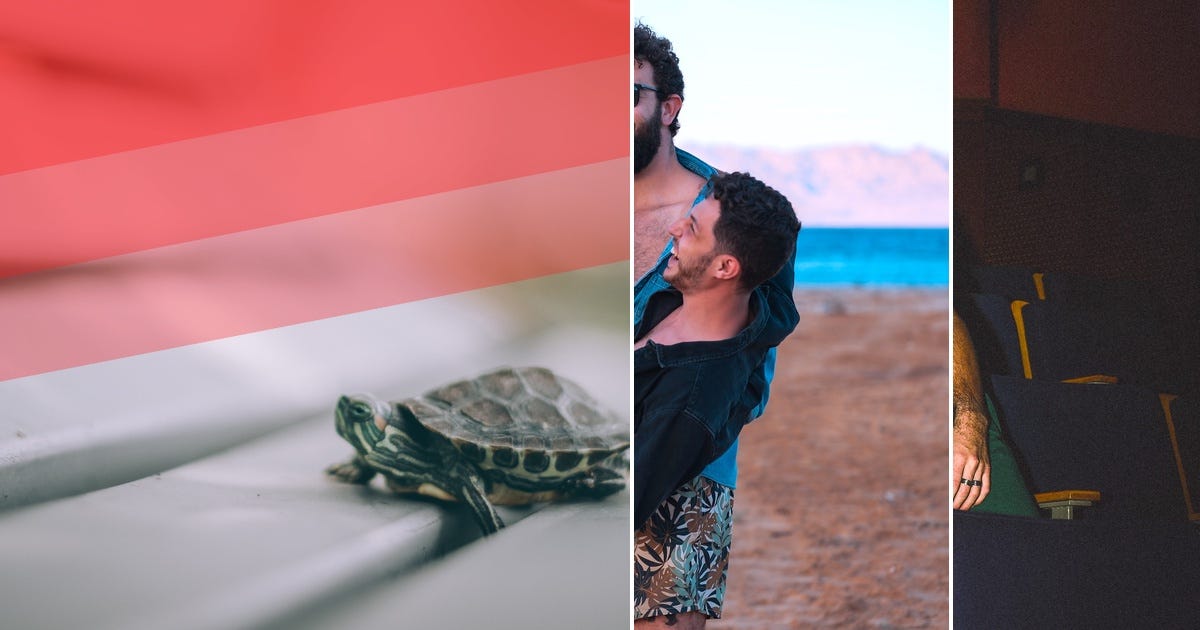 List: Life | Curated by Getulio Alcantara Vianna Junior | Medium