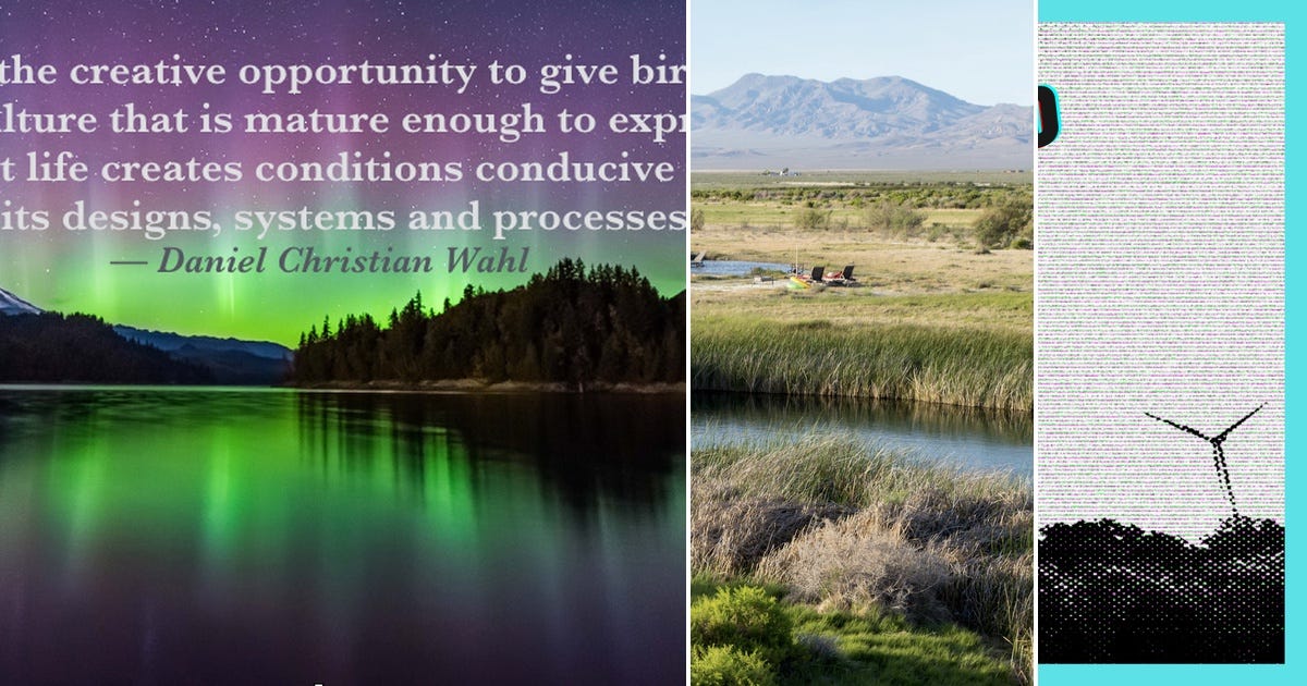 List: Environment | Curated by Ted Delano | Medium