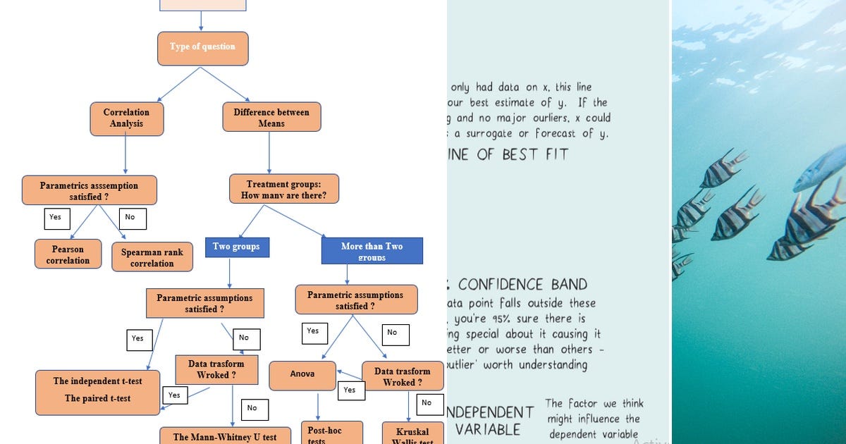 List: Tranformation of Data | Curated by Hiroshi Thurber | Medium