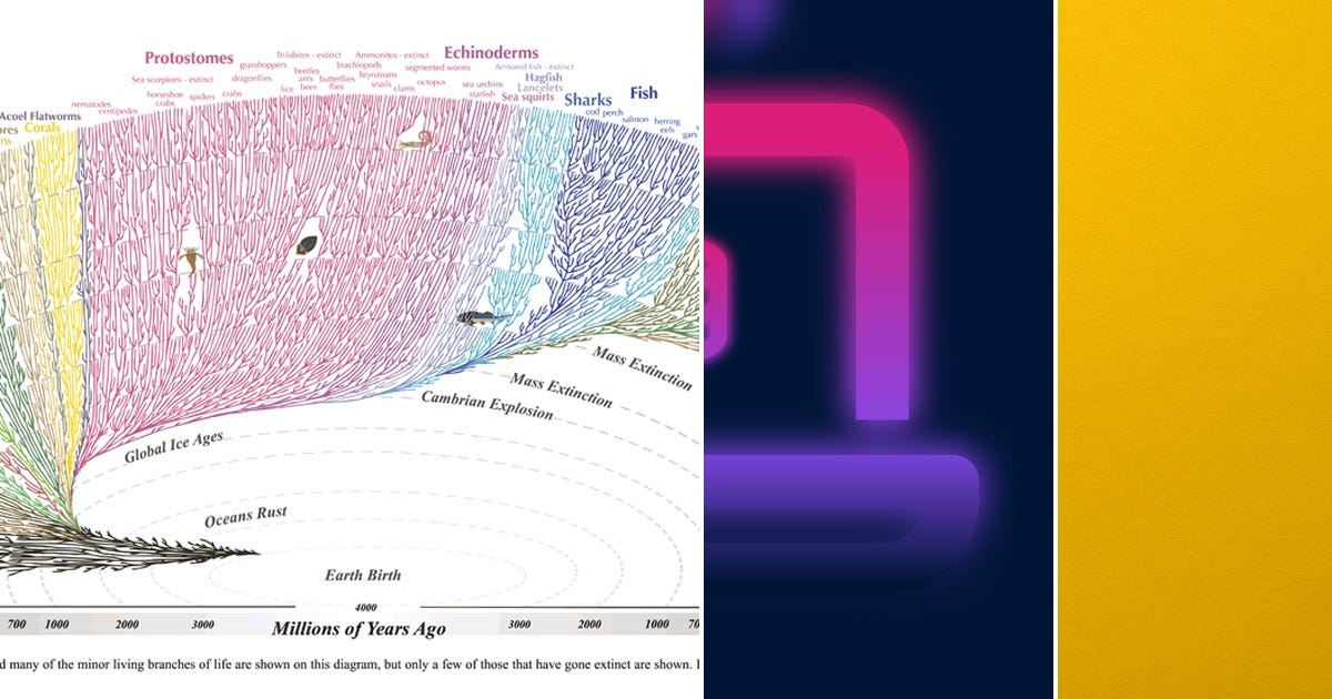 List: Interesting | Curated by Calaverse16 | Medium