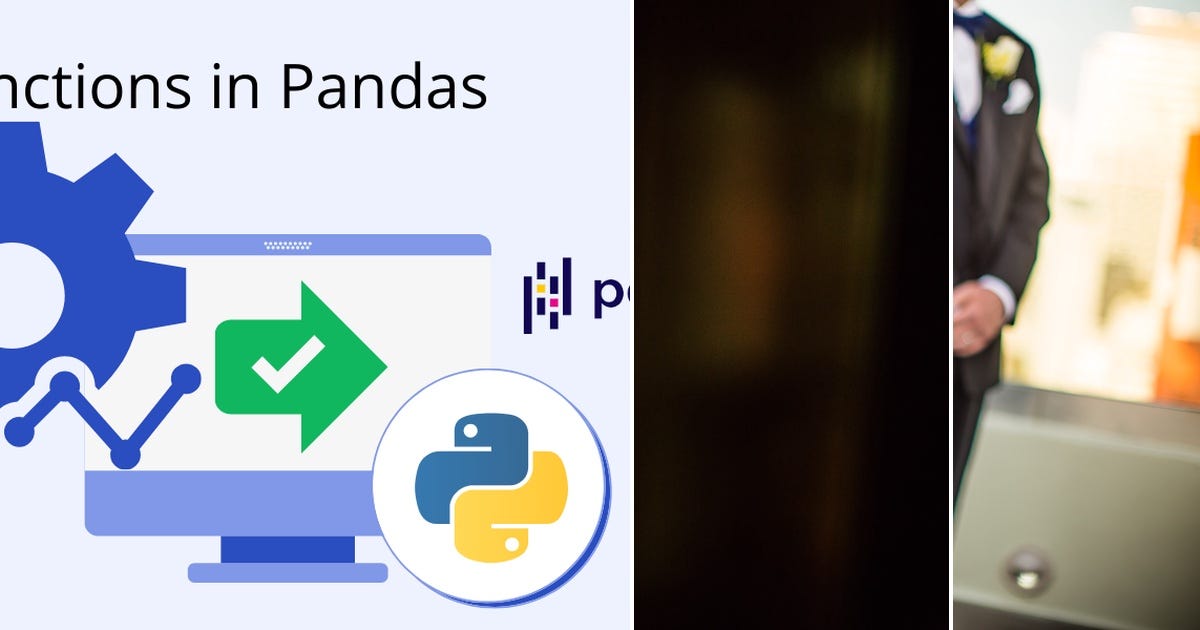 List Pandas Curated By S M Medium