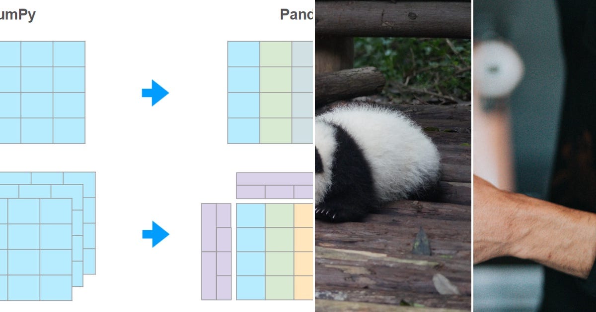 List: pandas | Curated by Sławomir Mandes | Medium