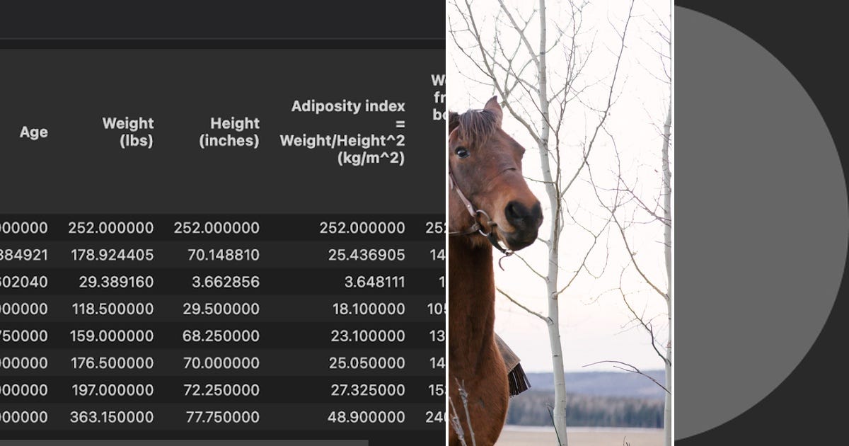 List: Lasso | Curated by Michael Yao | Medium
