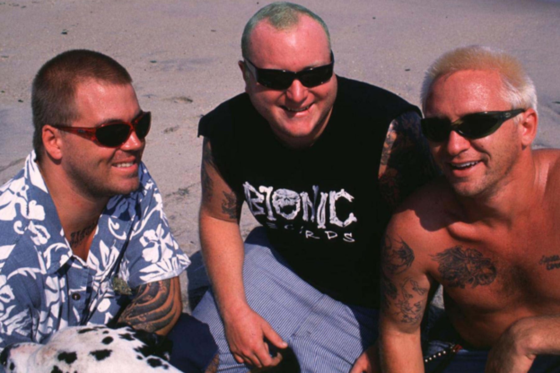 Everything About Sublime and a Review of Their Most Popular Album | by ...