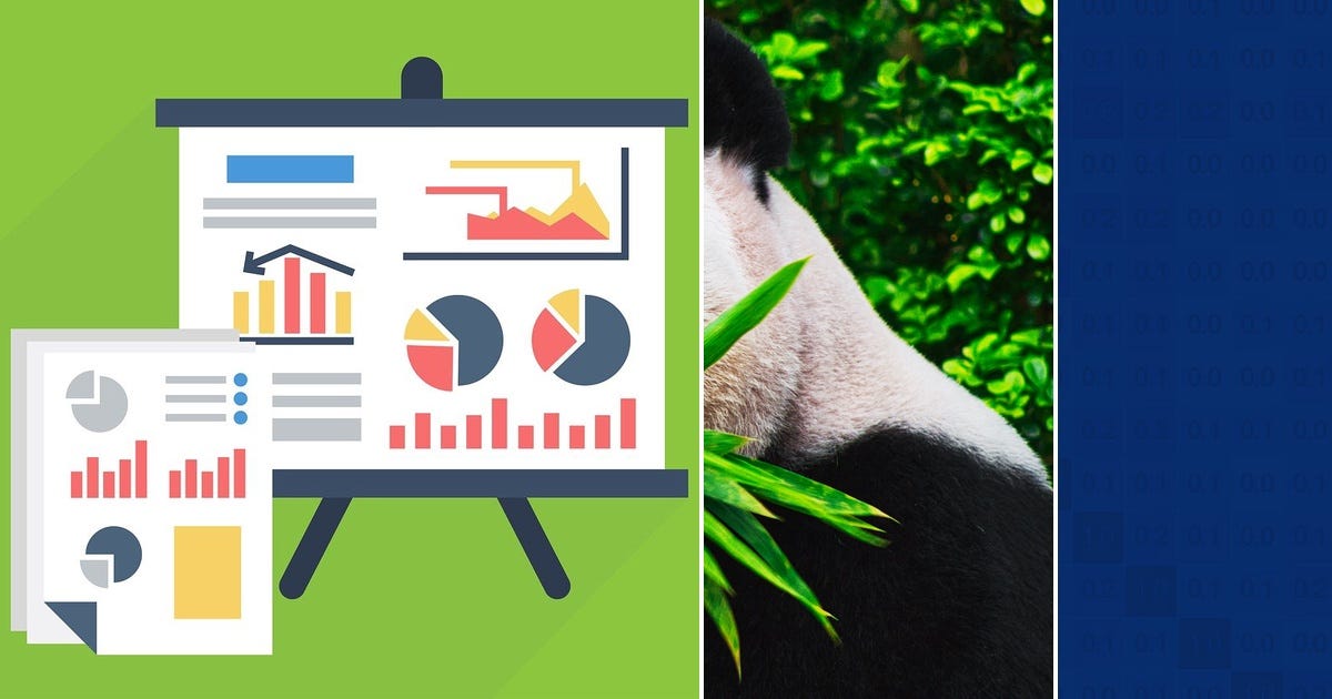 9 Stories About Pandas Curated By Shanjiv Kumar Medium