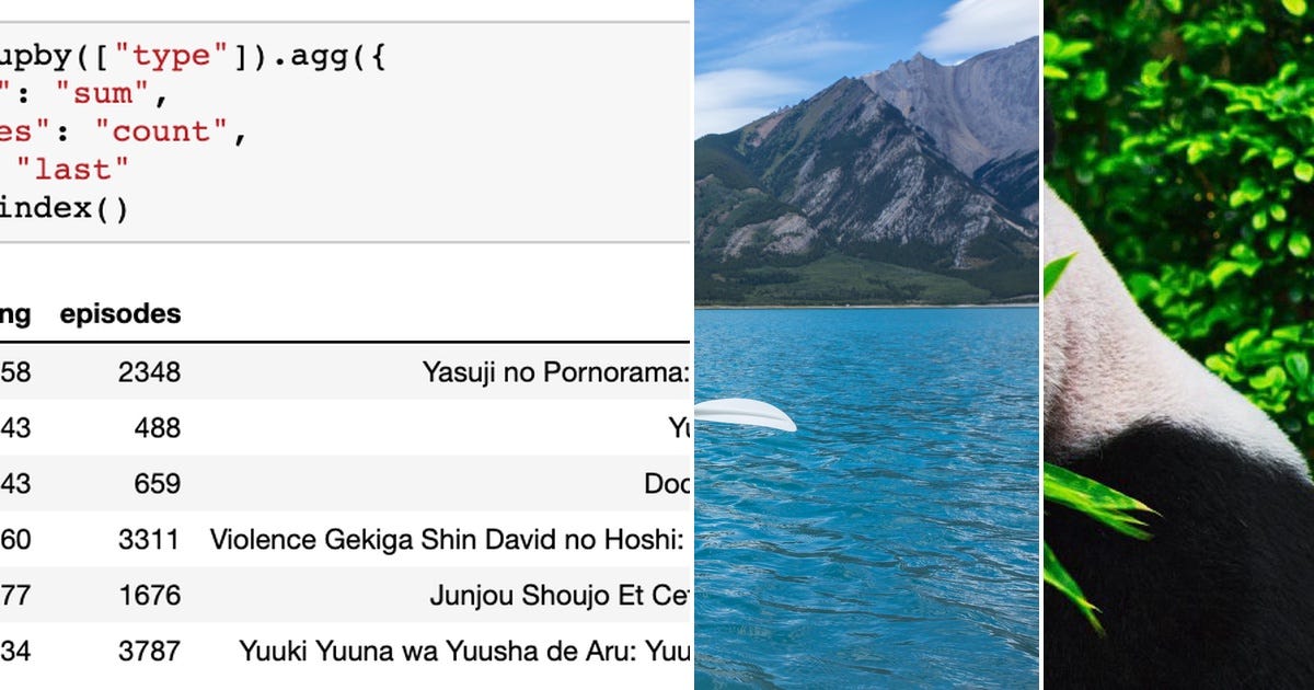 3 stories about Pandas curated by Nigel Lim - Medium