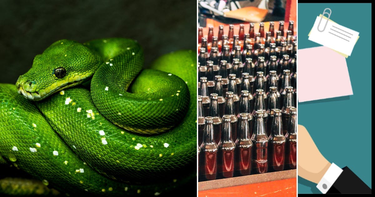 List: EDA Prepro Image | Curated by Oklearninglow | Medium