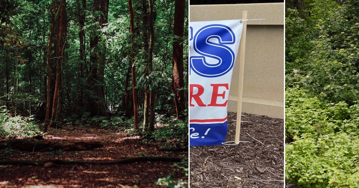 List: Strange Times: My Pandemic Journal | Curated by Dustin Zick | Medium