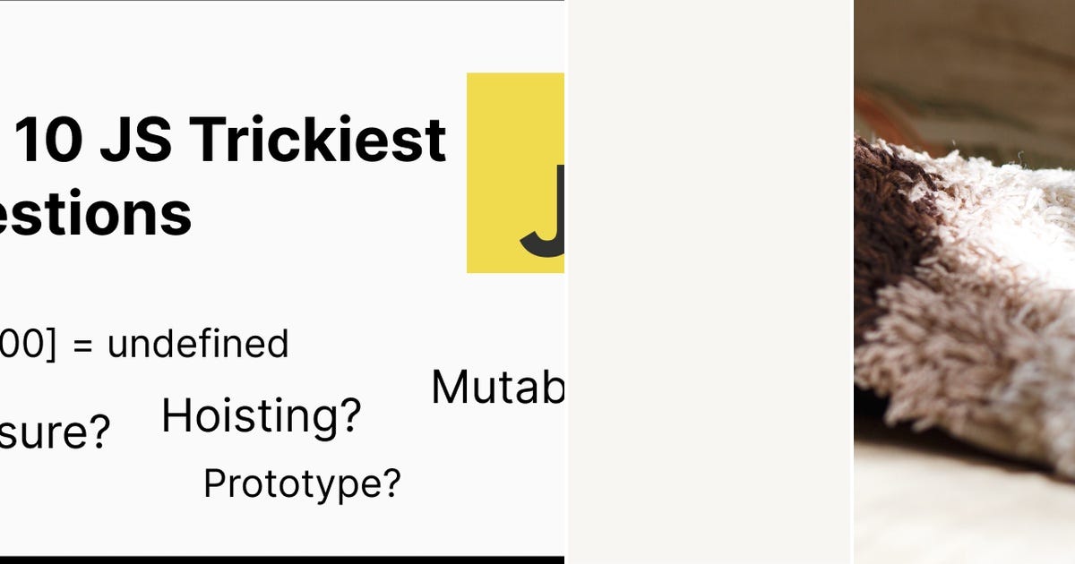 List: interview | Curated by Sofia Sarideh | Medium