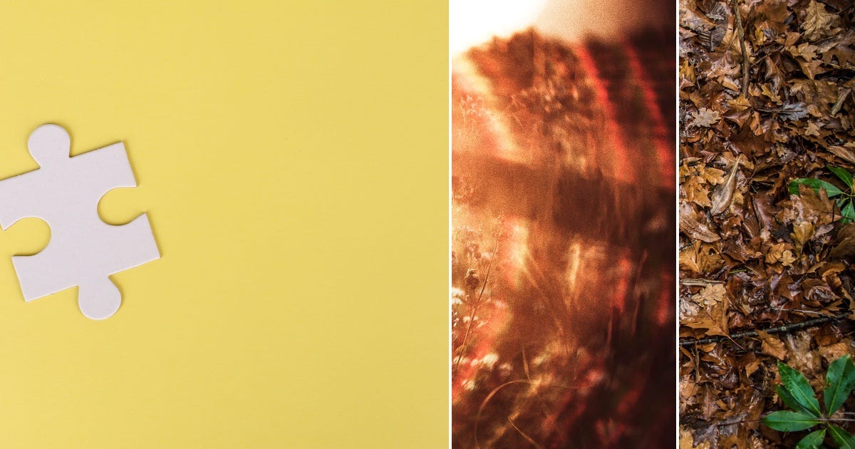 List: twins | Curated by holly kidd | Medium