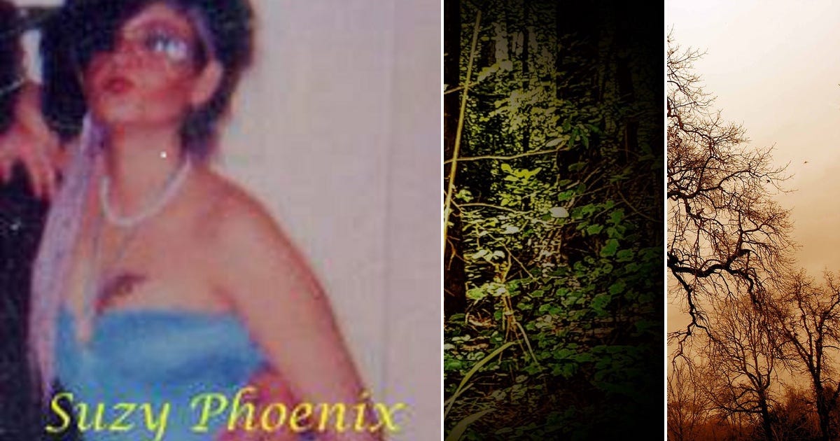 5 stories about Creepy/Horror/Mystery curated by Suzy Jacobson Cherry - Medium