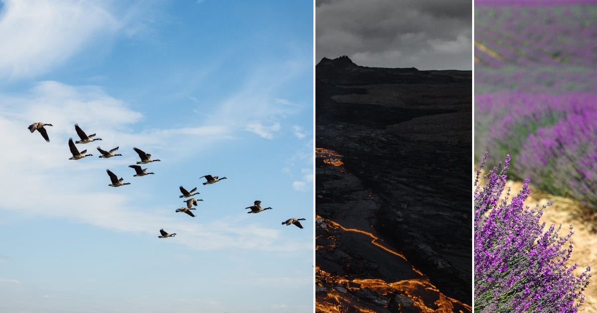 40 stories about ITS curated by Dmitry Ermakov - Medium