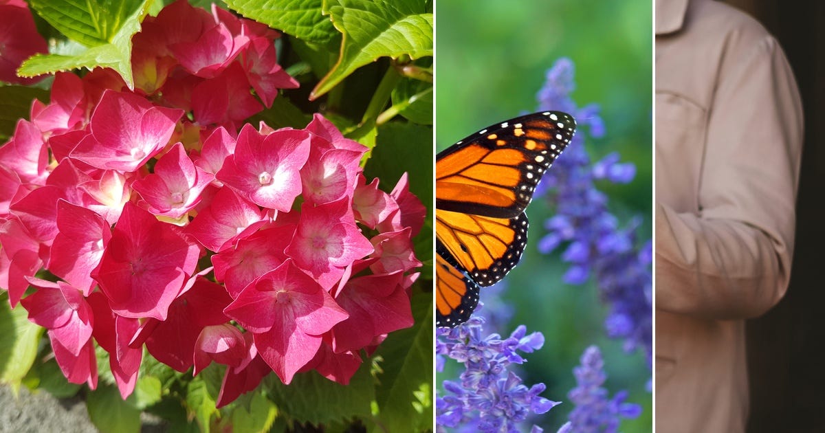 11 stories about Grief & Loss curated by Bernie Pullen - Medium