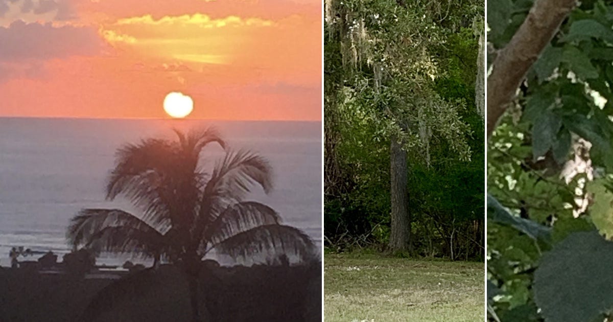 9 stories about My Nature Photography Essays curated by Wendi Gordon ...