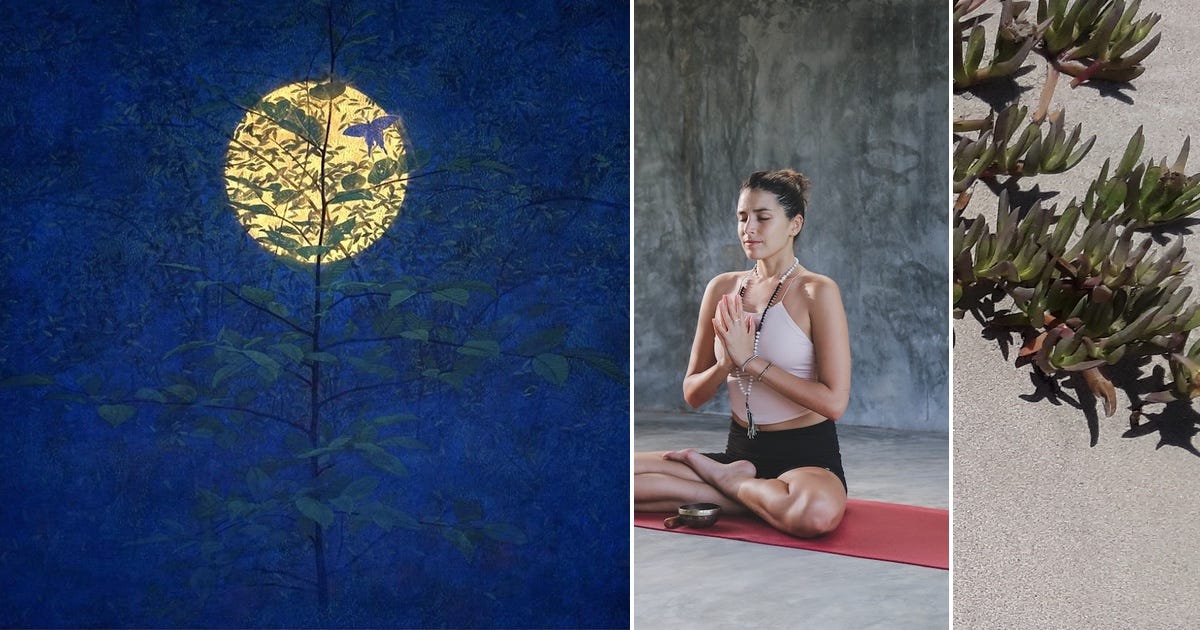 8 stories about Meditation curated by Jim Brazil - Medium