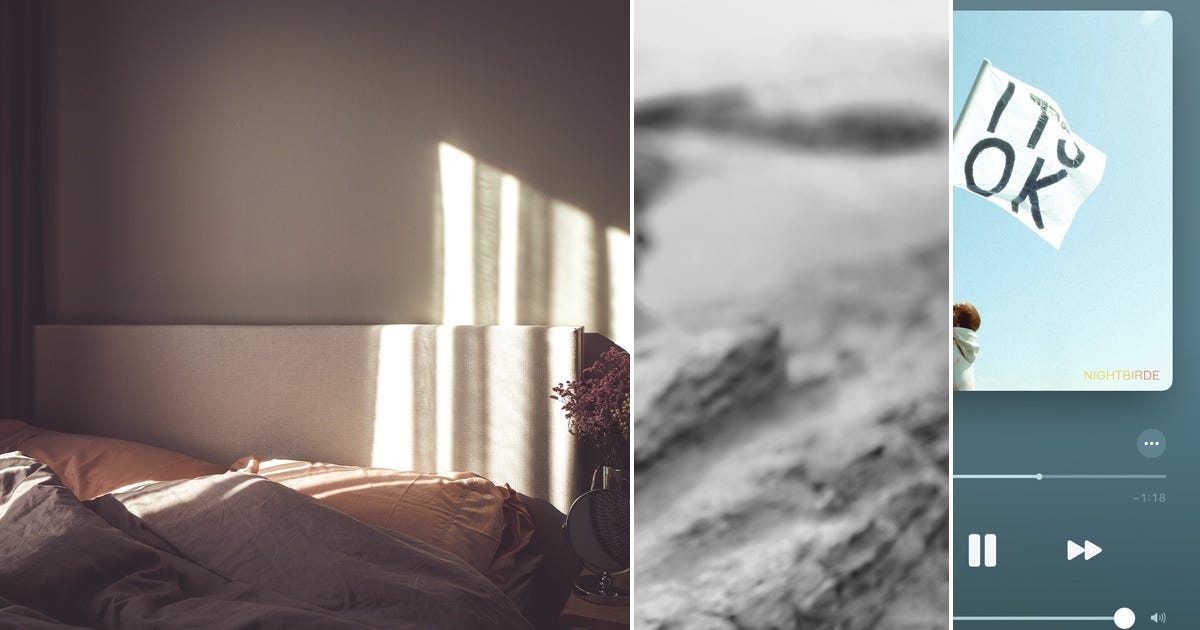 4 stories about Regeneration curated by Katalyst Kat - Medium