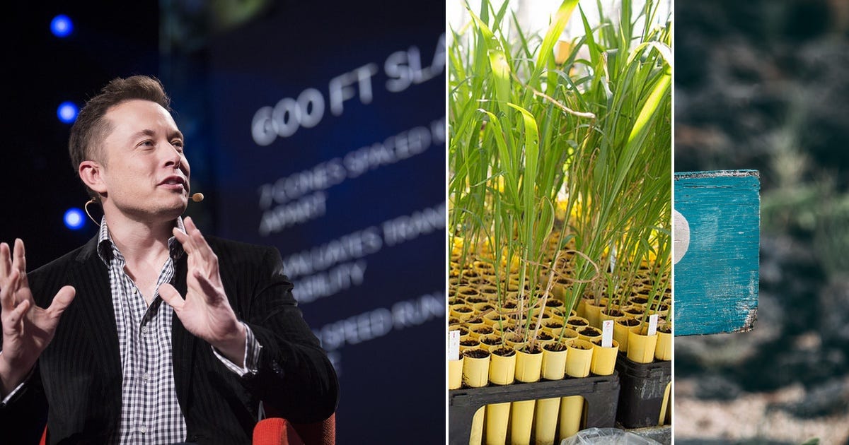 6 stories about Good Reads curated by Nazil Baktoo - Medium