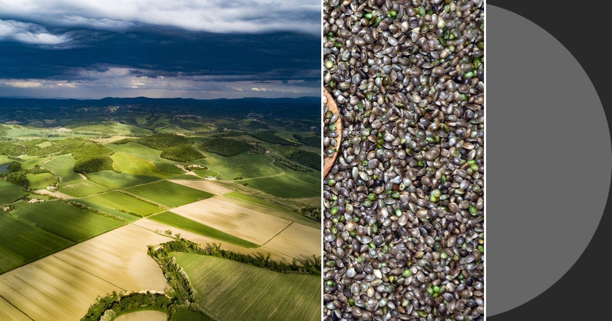 List: Hemp | Curated by Brett Jacobs | Medium