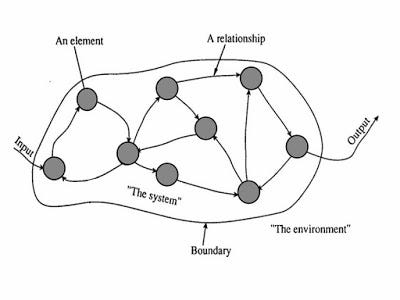Everything is interconnected: Dropping cats and thinking in systems ...