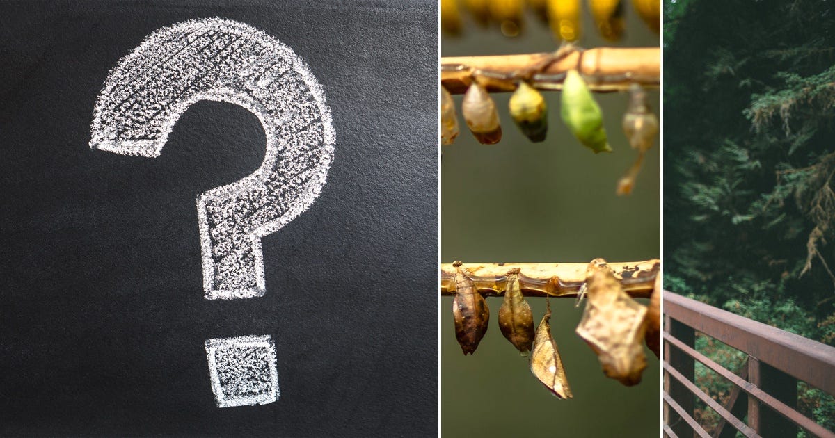 6 stories about About me curated by Arbab Z. - Medium