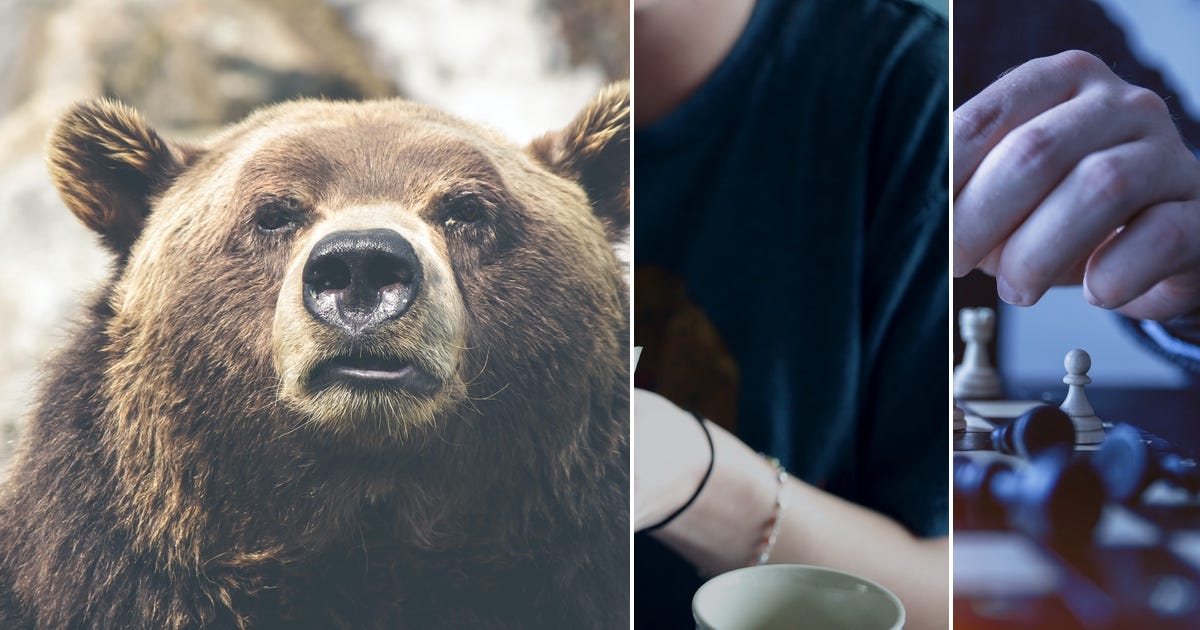 7 stories about Trading curated by Thomas Preece - Medium