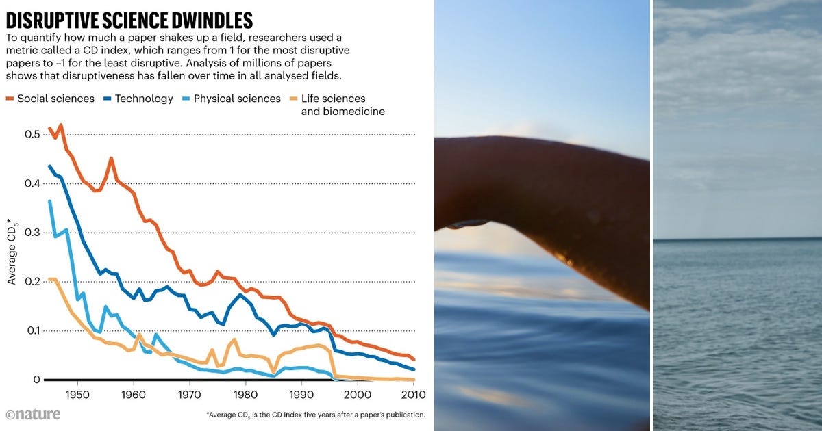 List: Environment | Curated by Mary Stenson | Medium