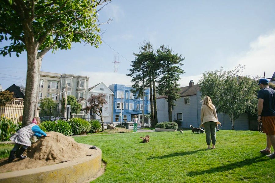 Why I Love Living in Cole Valley | by The Bold Italic Editors | The ...